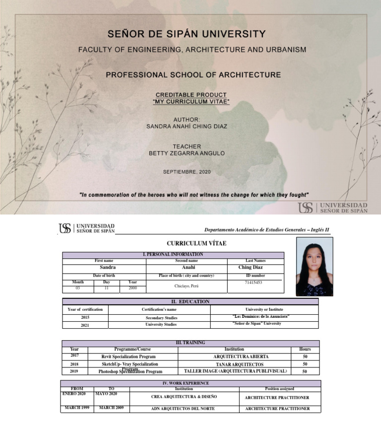 Pa2 Ching Diaz Sandra CV | PDF