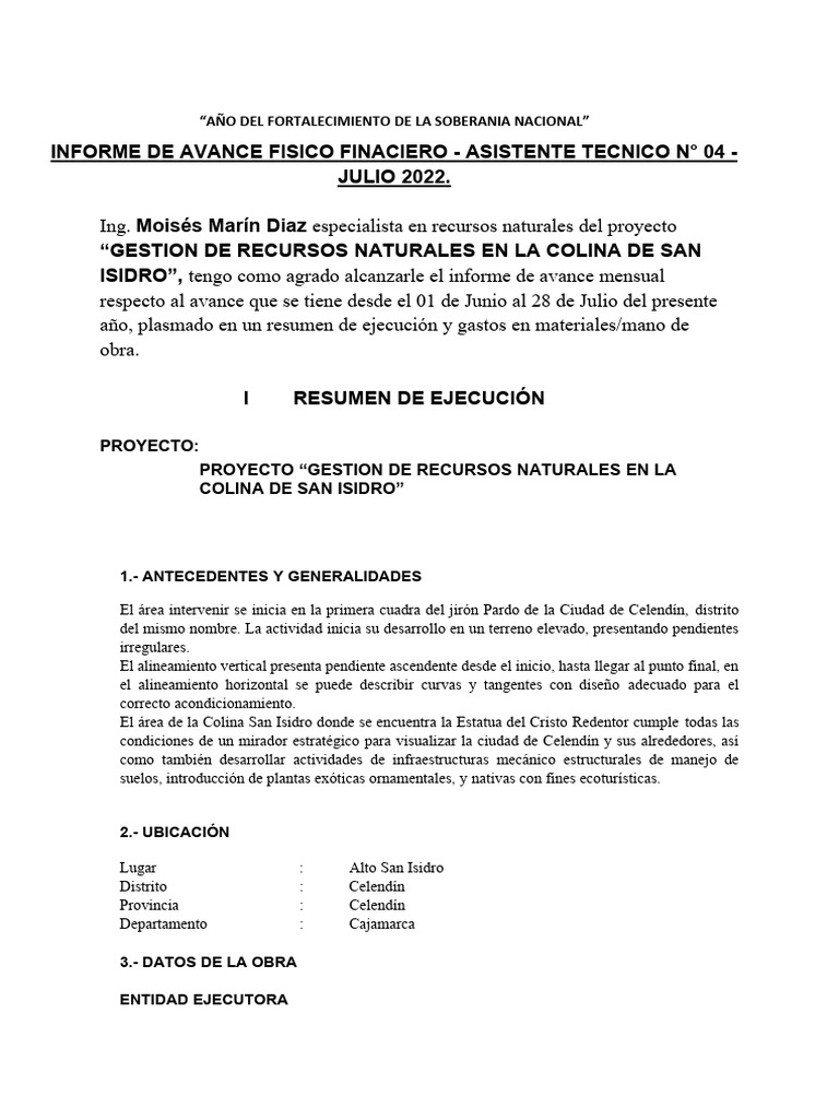 Informe 28 de Julio | PDF