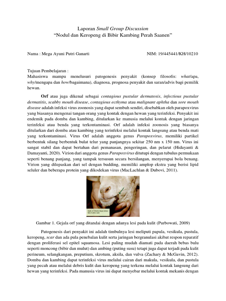 Laporan SGD 1 - 10210 - Mega Ayuni Putri Ganarti | PDF | Ilmu Sosial