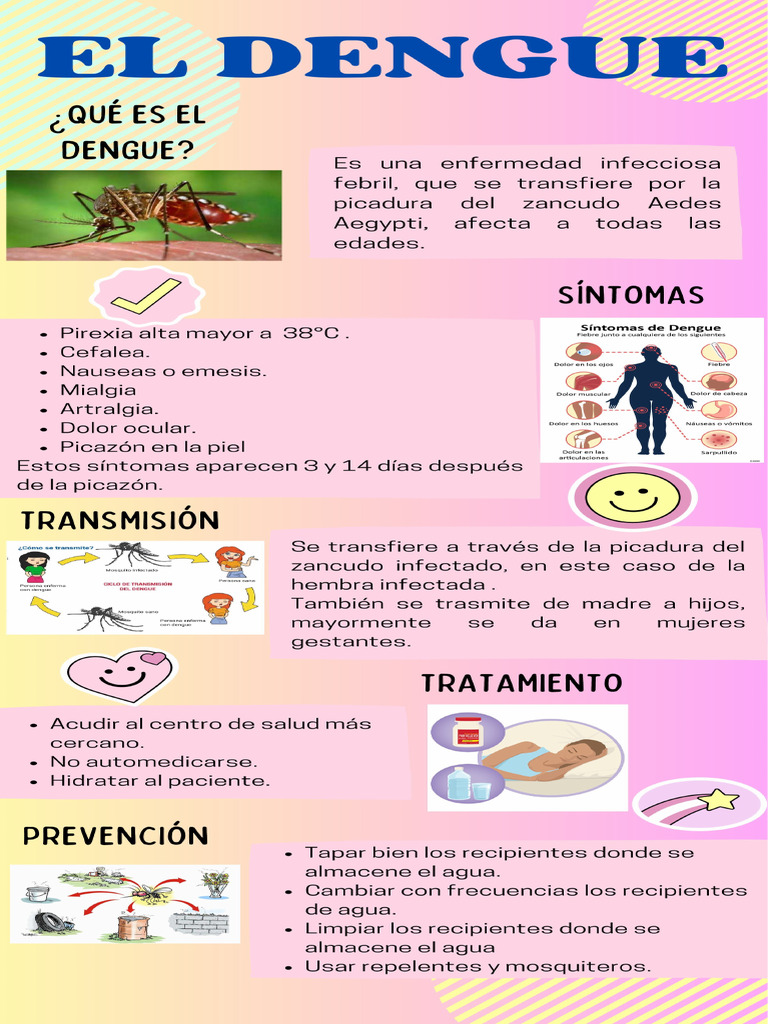 Afiche Dengue | PDF