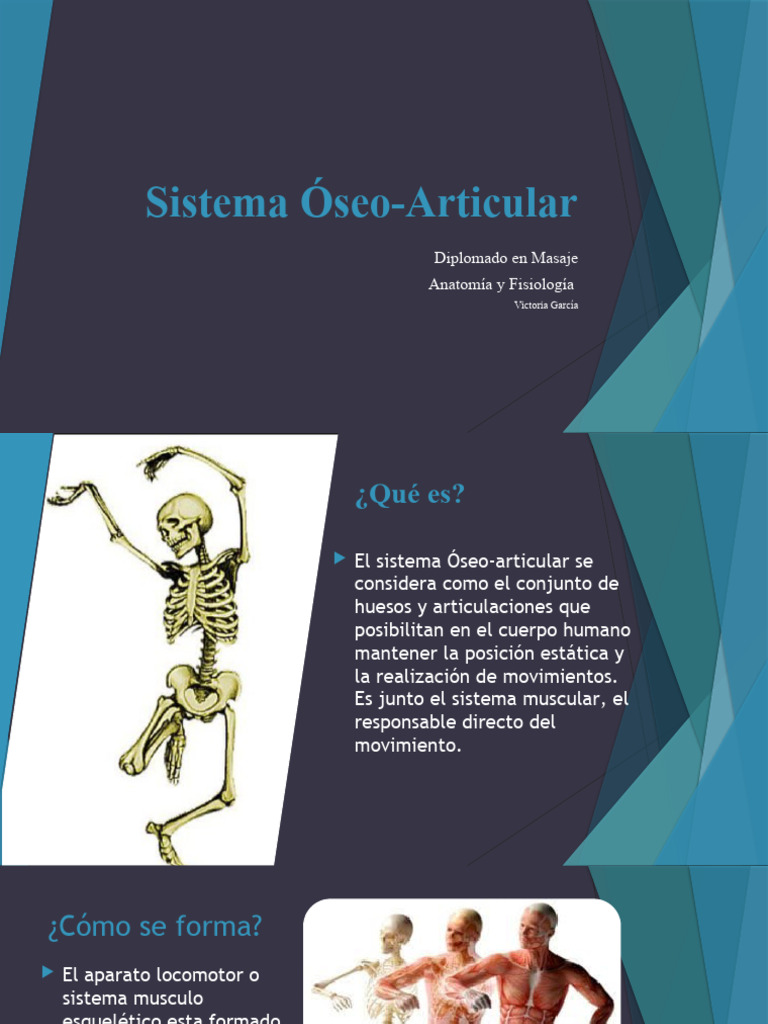 Sistema Oseo-Articular | PDF | Esqueleto | Articulación