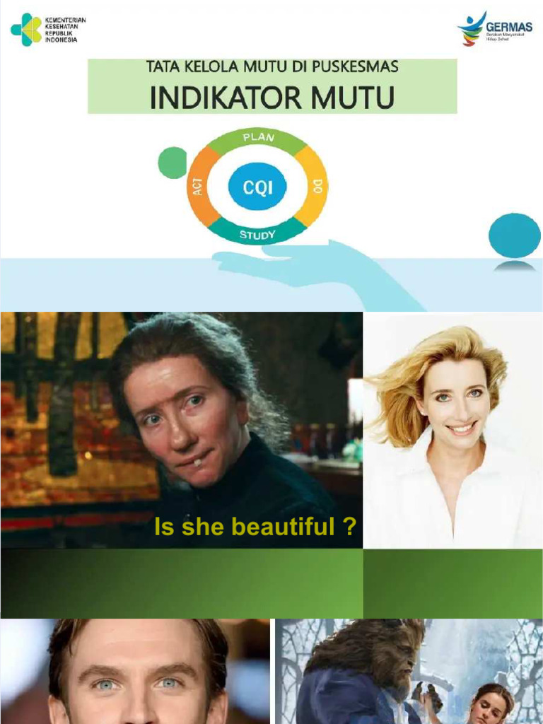 PDF Indikator Mutu Puskesmas Analisis | PDF