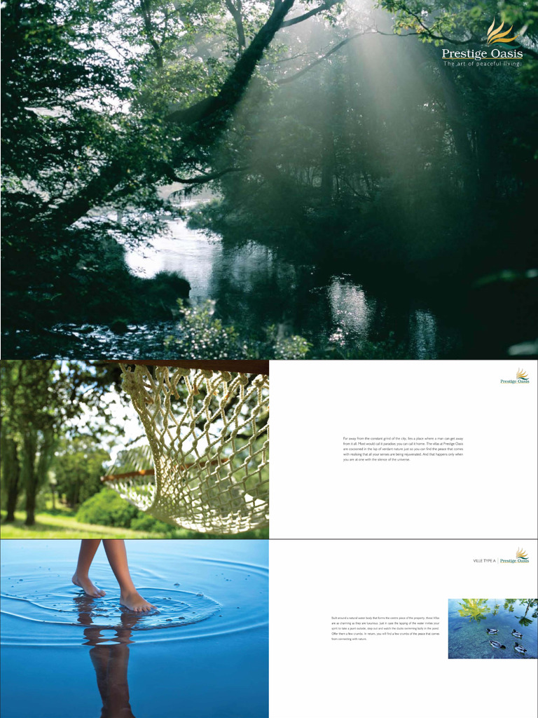 Oasis Brochure | PDF