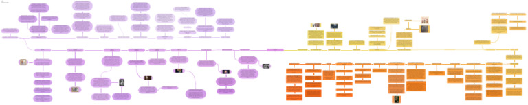 Mapa Mental Memoria Operativa y Procesos Ejecutivos | PDF | Memoria | Mente
