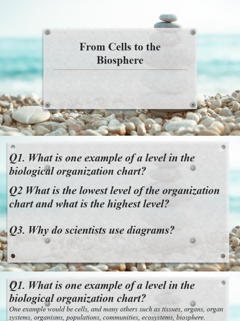 From Cells To The Biosphere | PDF | Tissue (Biology) | Ecology