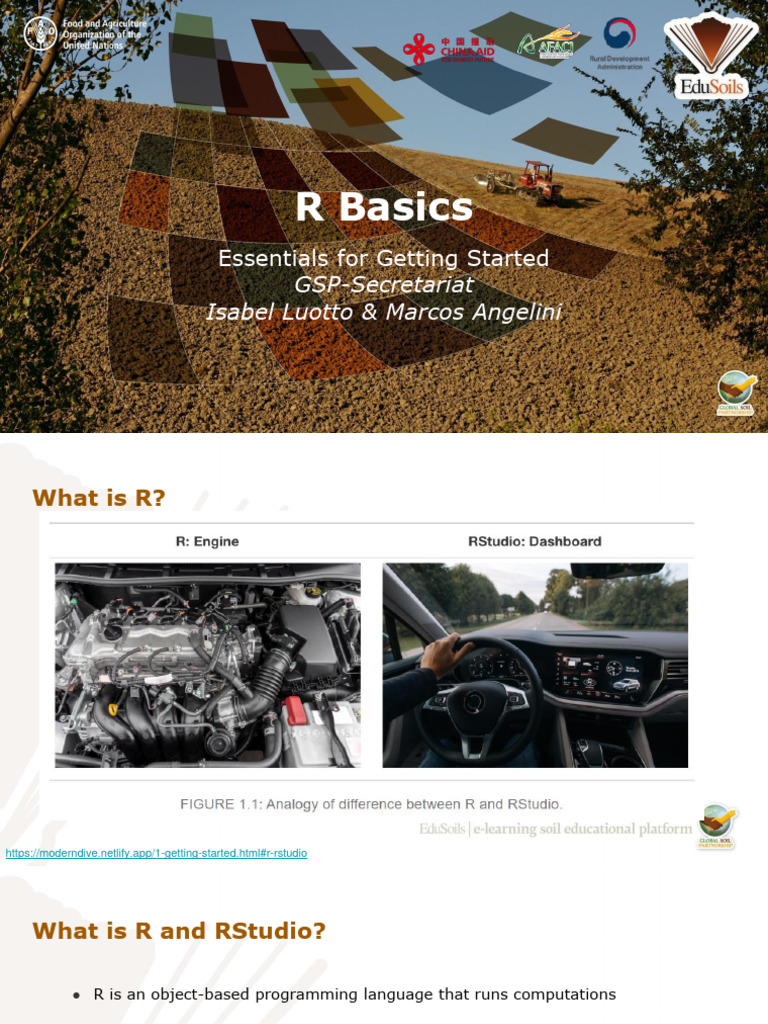 R Basics and Essentials | PDF