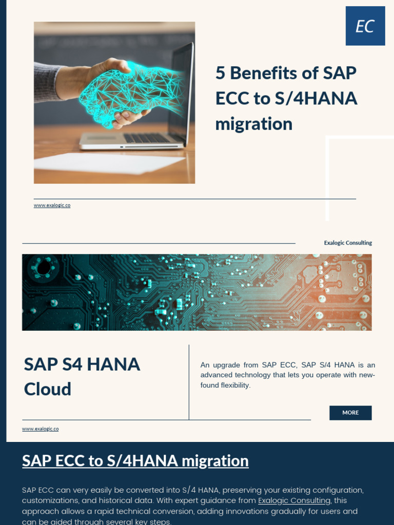 Sap Ecc To S4hana Migration Pdf