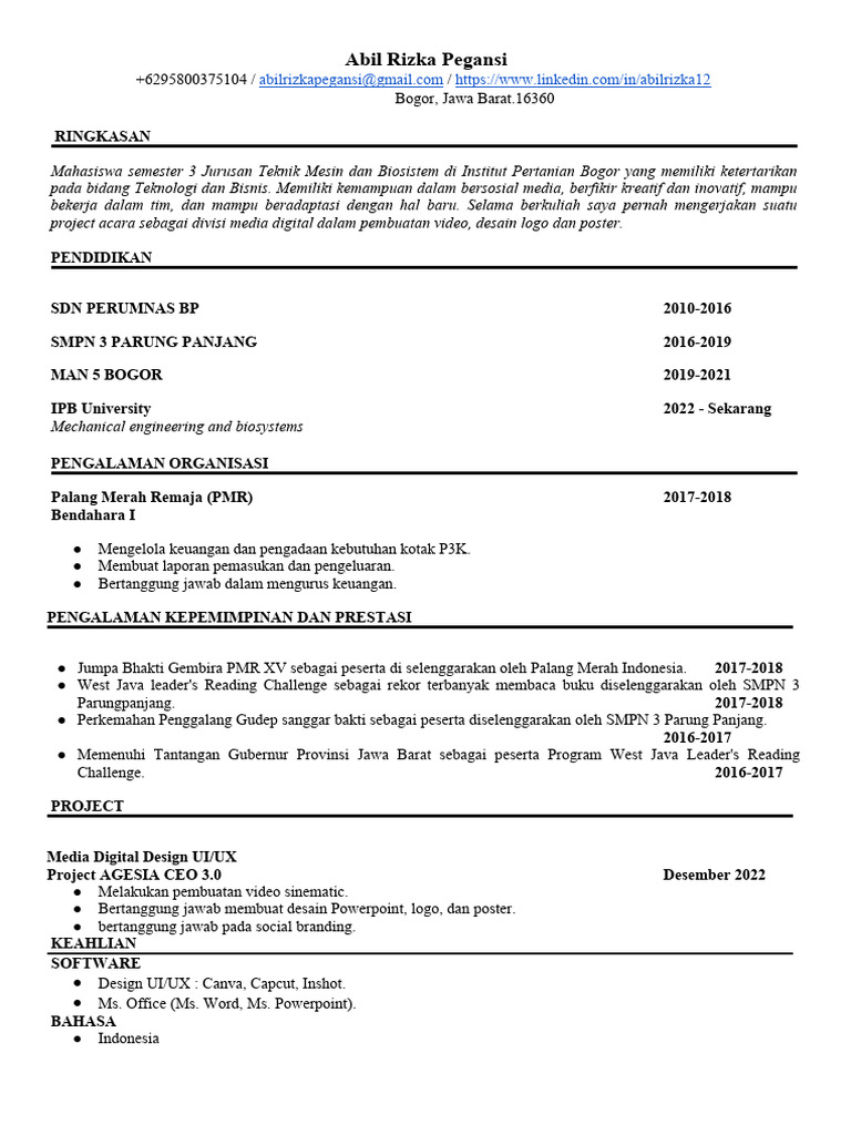 Template CV PDF | PDF | Seni