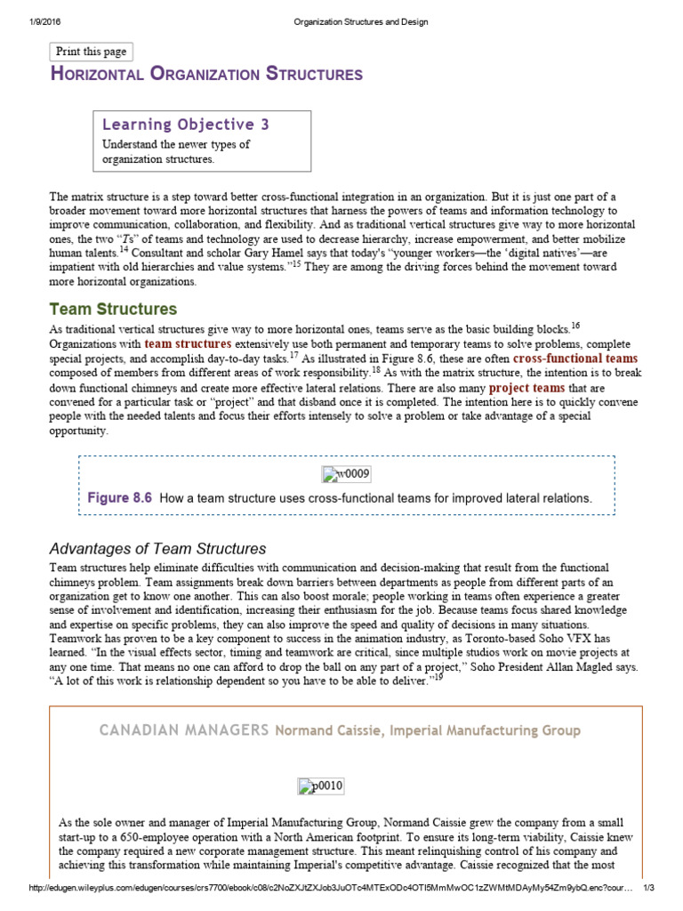 Organization Structures and Design-3-Horizontal Organization Structures ...