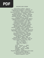 Yoruba Animal and Bird Names Guide | PDF | Nature