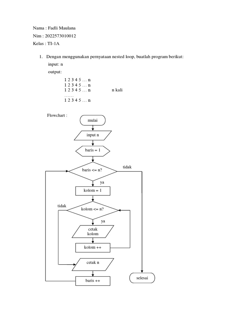 Program Nested Loop dalam Pemrograman | PDF