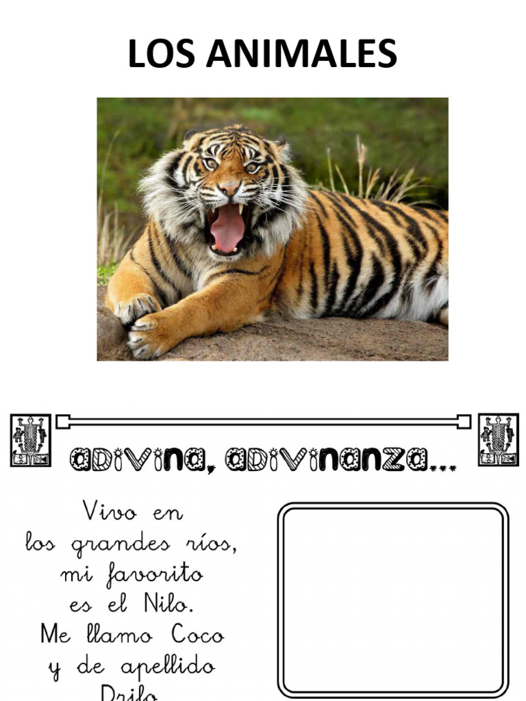 Clasificación y funciones de los animales | PDF | Anfibio | Oveja