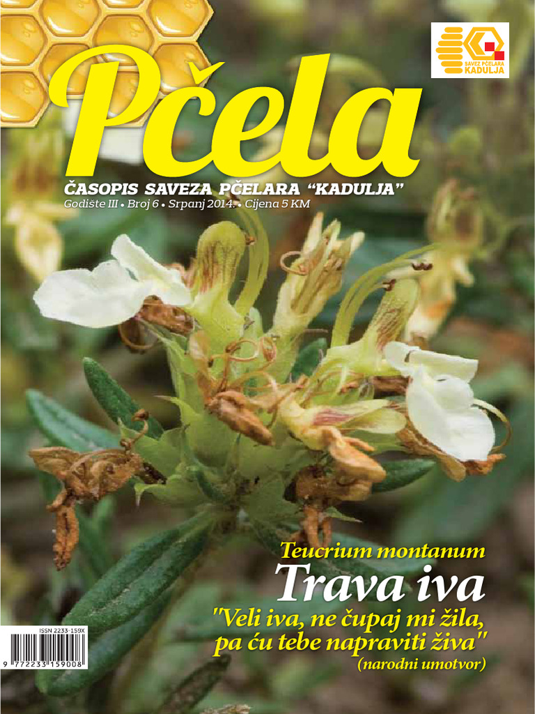Pcela Broj 6 | PDF