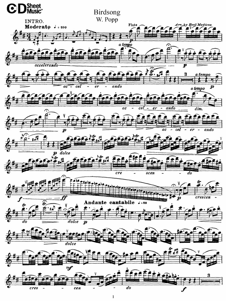 Flute Solos - W. Popp - Part | PDF