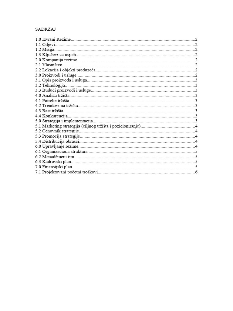 Bizniz Plan 1 | PDF