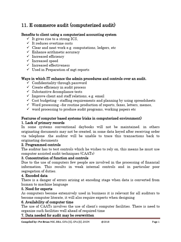 E-Commerce Audit | PDF | Audit | Computer Program