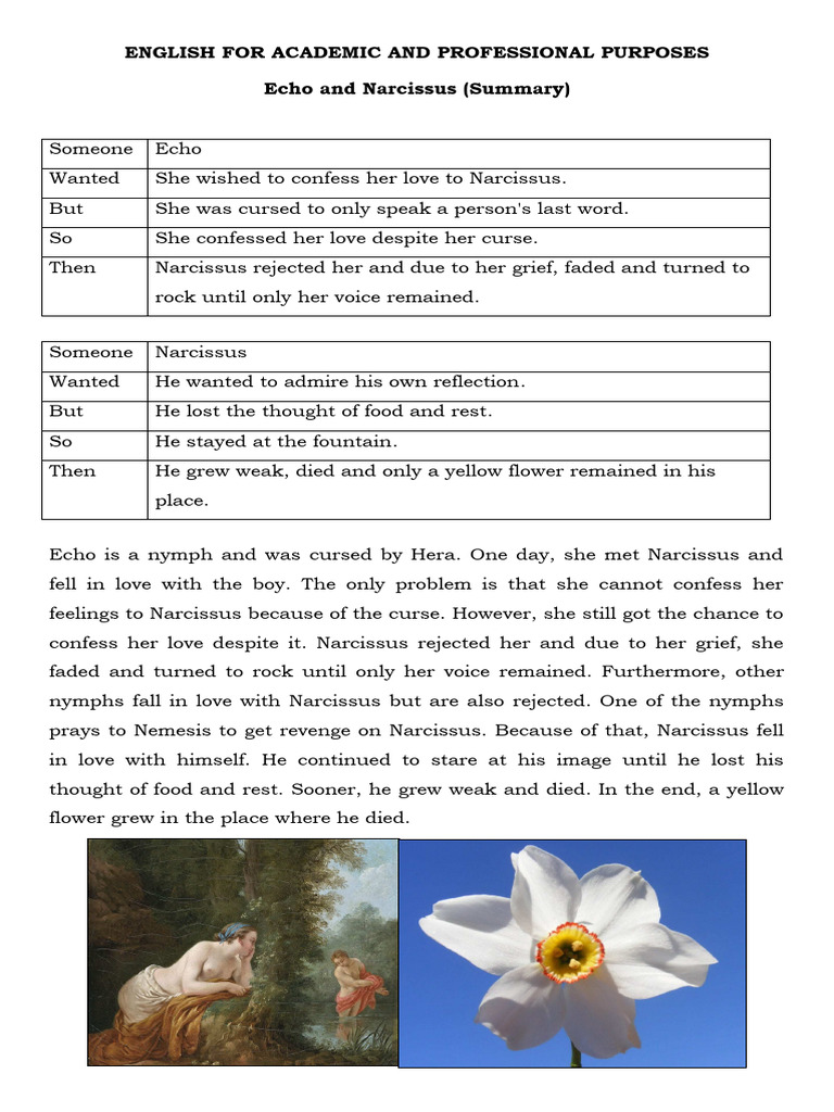 Echo and Narcissus Summary | PDF