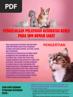 Pedoman Pembuatan Health Risk Assessment Idki-1 | PDF