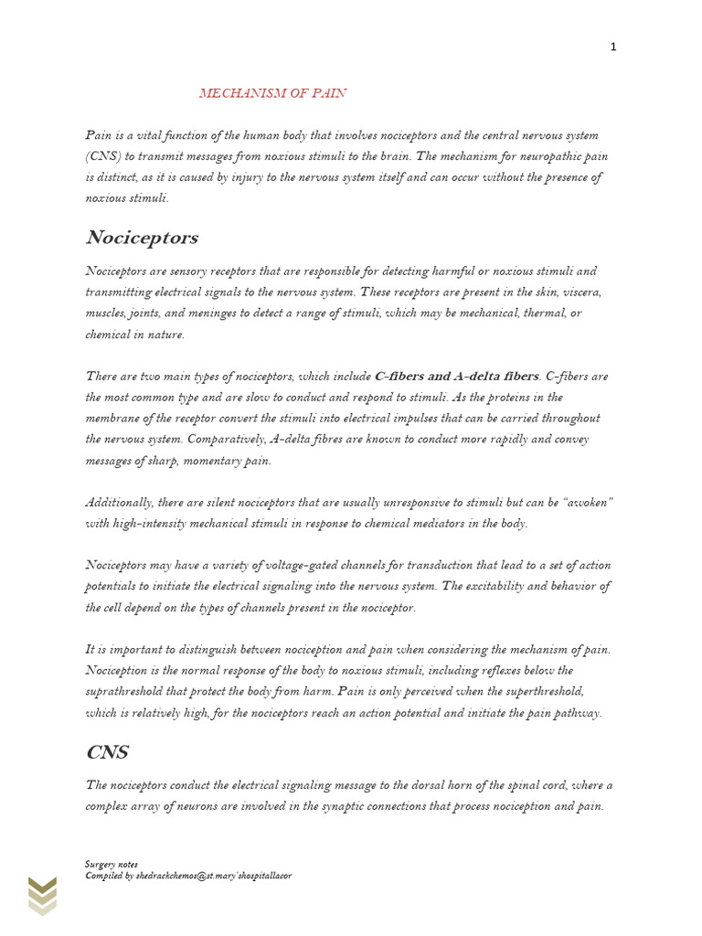 Mechanism of Pain | PDF | Pain | Stimulus (Physiology)
