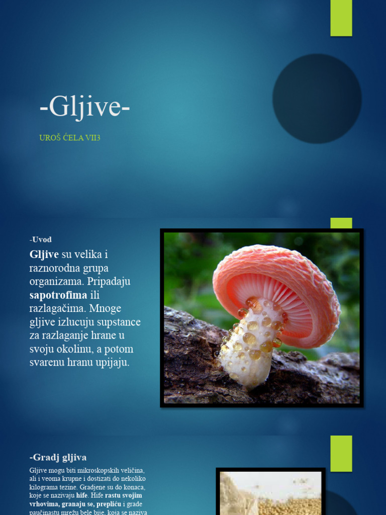 Gljive | PDF