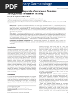 Histopathology Report (Example) | PDF | Histopathology | Pathology