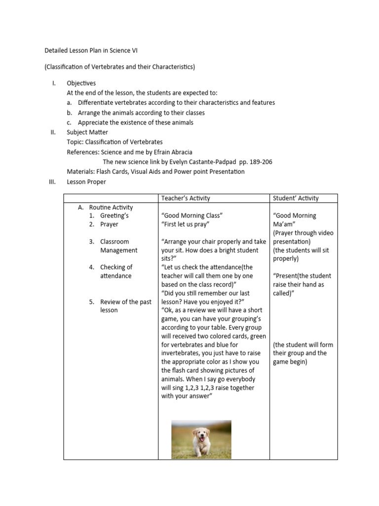Detailed Lesson Plan in Science VI | PDF | Skin | Vertebrates