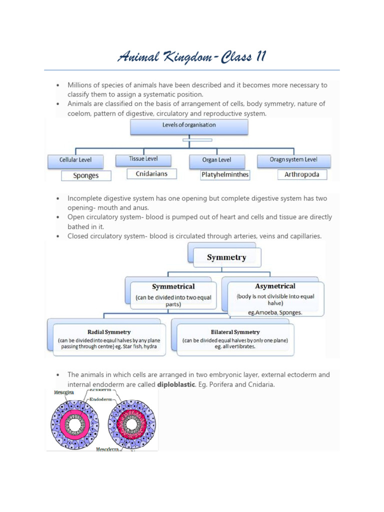 Animal Kingdom-Class 11 | PDF | Fish | Mollusca