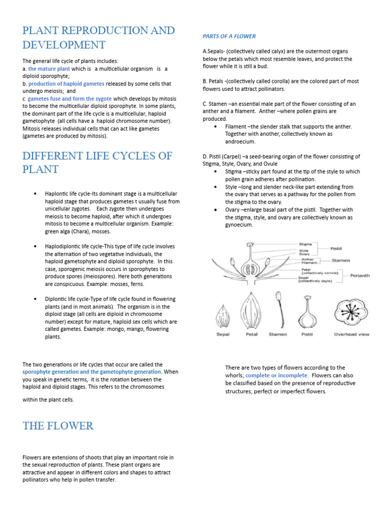 PLANT & ANIMAL REPRODUCTION AND DEVELOPMENT | PDF | Sexual Reproduction ...
