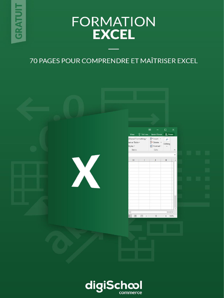 Guide d'utilisation d'Excel pour la gestion | PDF | Microsoft Excel | Feuille de calcul