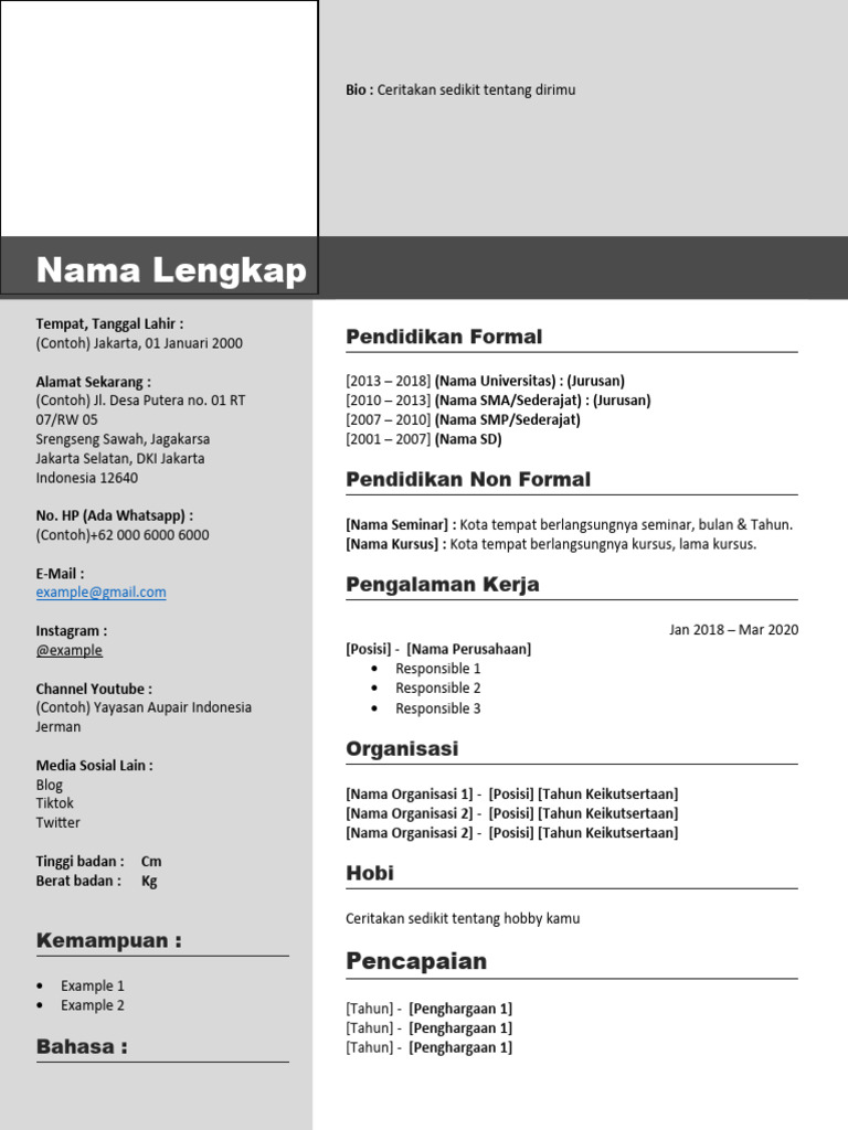 Template CV | PDF