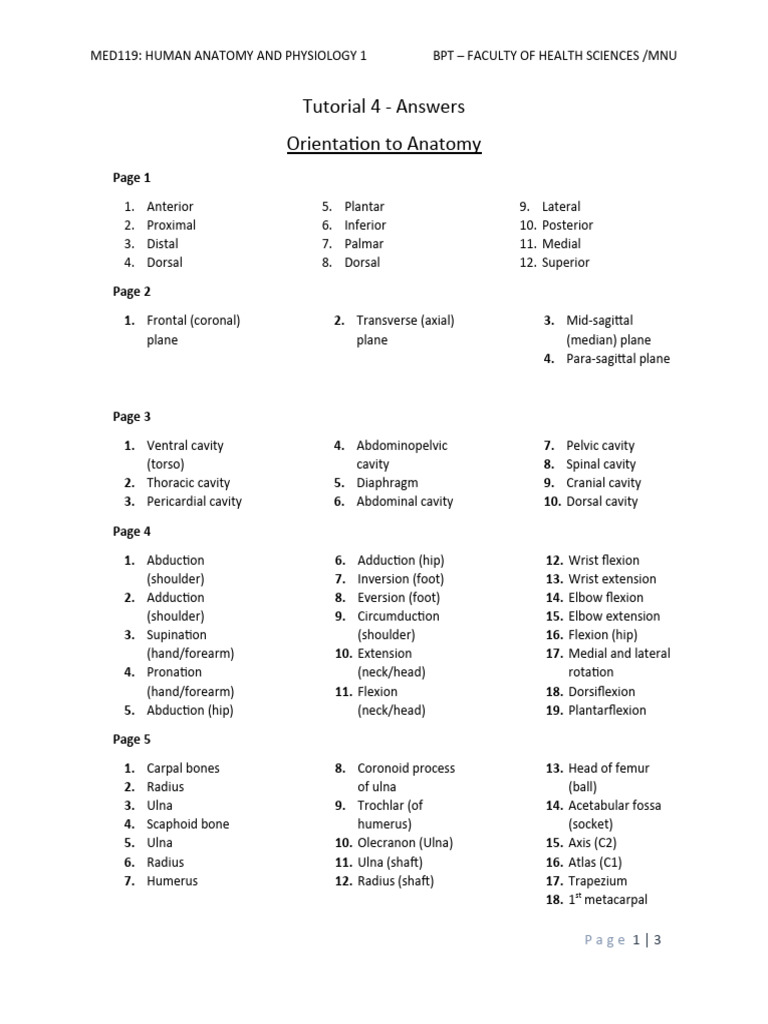 Tutorial 4 Answers Orientation To Anatomy Download Free Pdf Anatomical Terms Of Motion 