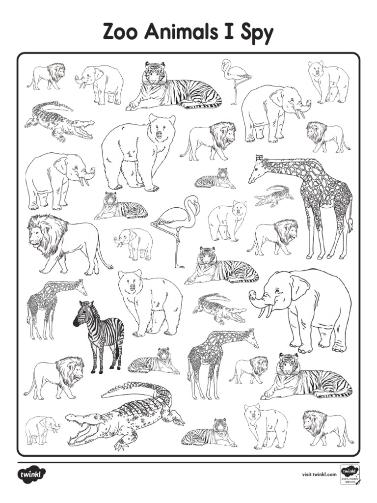 BW I Spy Zoo Animals Activity | PDF
