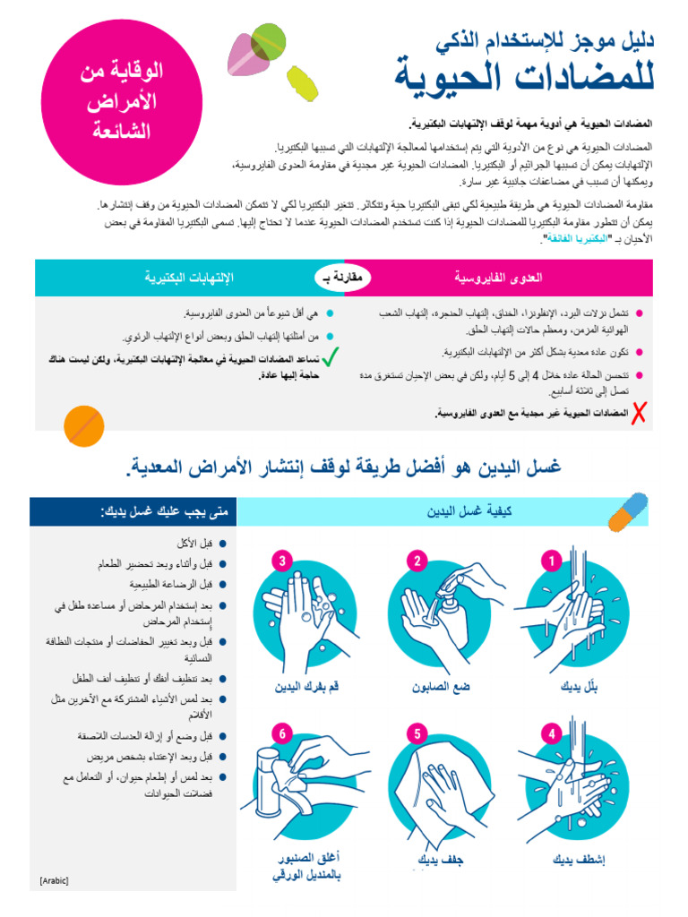 Short-Guide Arabic Web | PDF