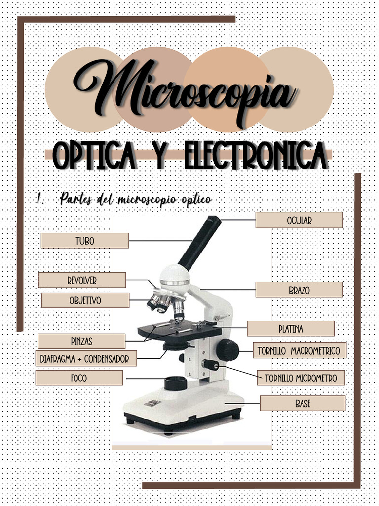 Microscopia Optica y Electronica - Liesel Zuñiga Anco - Enfermeria | PDF