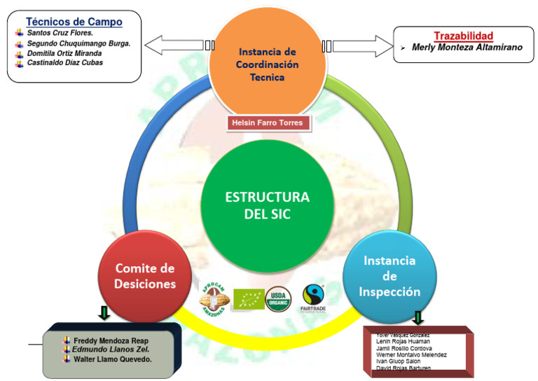 Anexo 5.estructura Del SIC | PDF