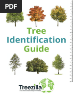 Tree Identification Key Printable: Click Here To Download | PDF ...