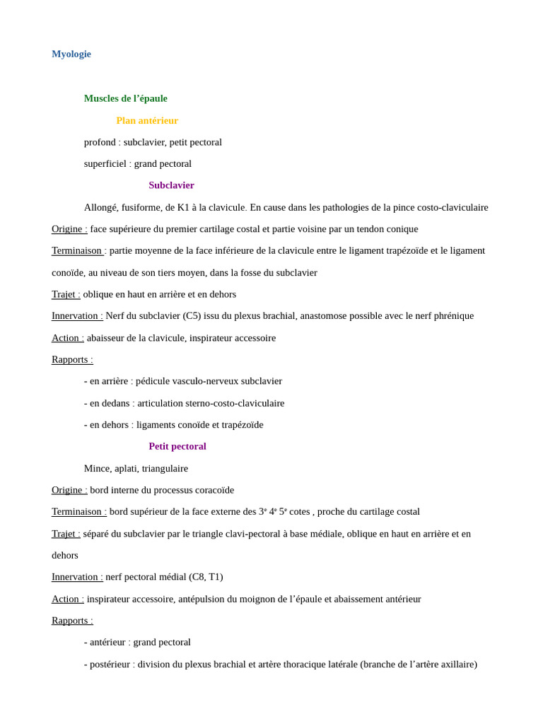 Cour Détaillé Myologie | PDF