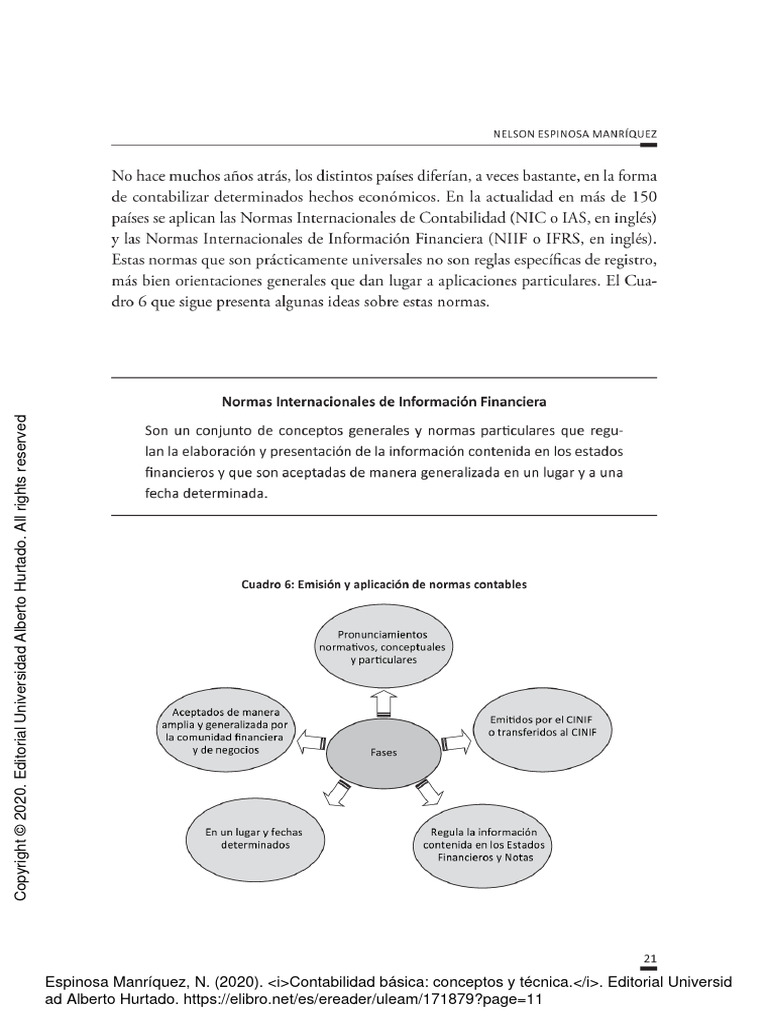 Libro - NIC, NIIF | PDF