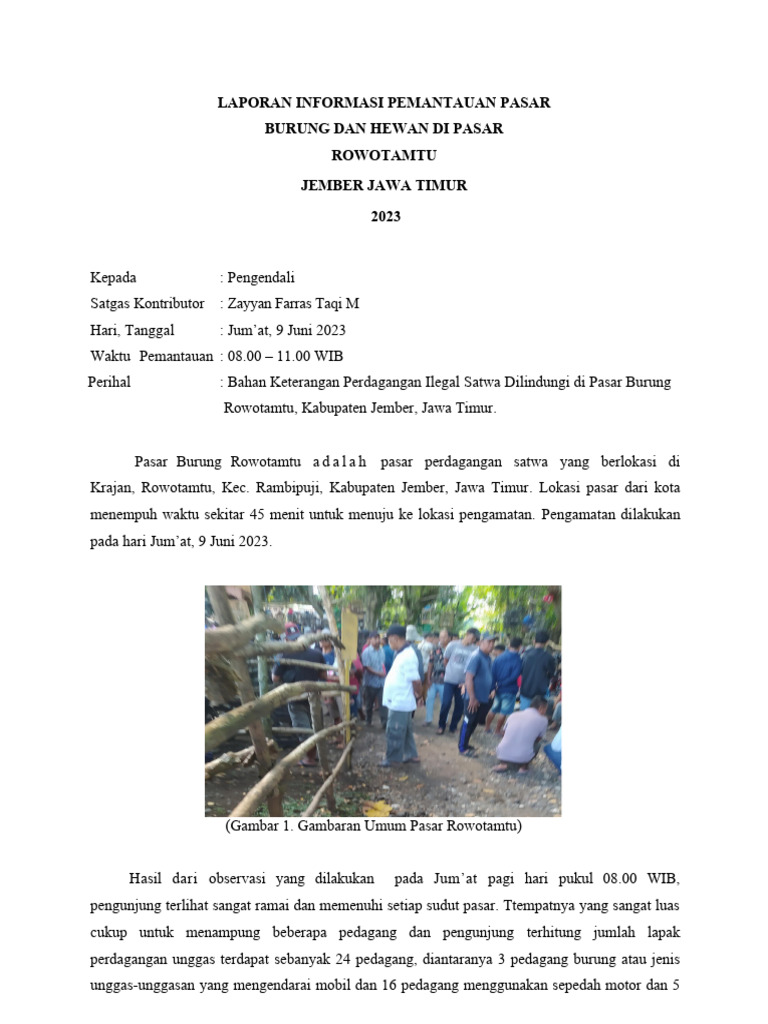Harga Takur Tohtor di Pasar Rowotamtu | PDF