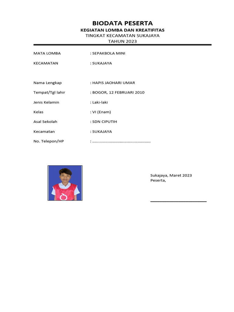 Biodata Sepakbola Mini | PDF