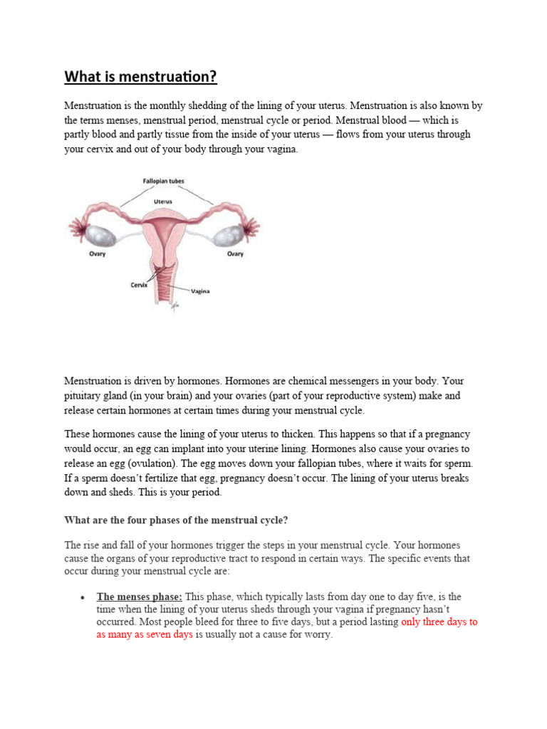 Understanding Menstruation and Its Phases | PDF | Wellness