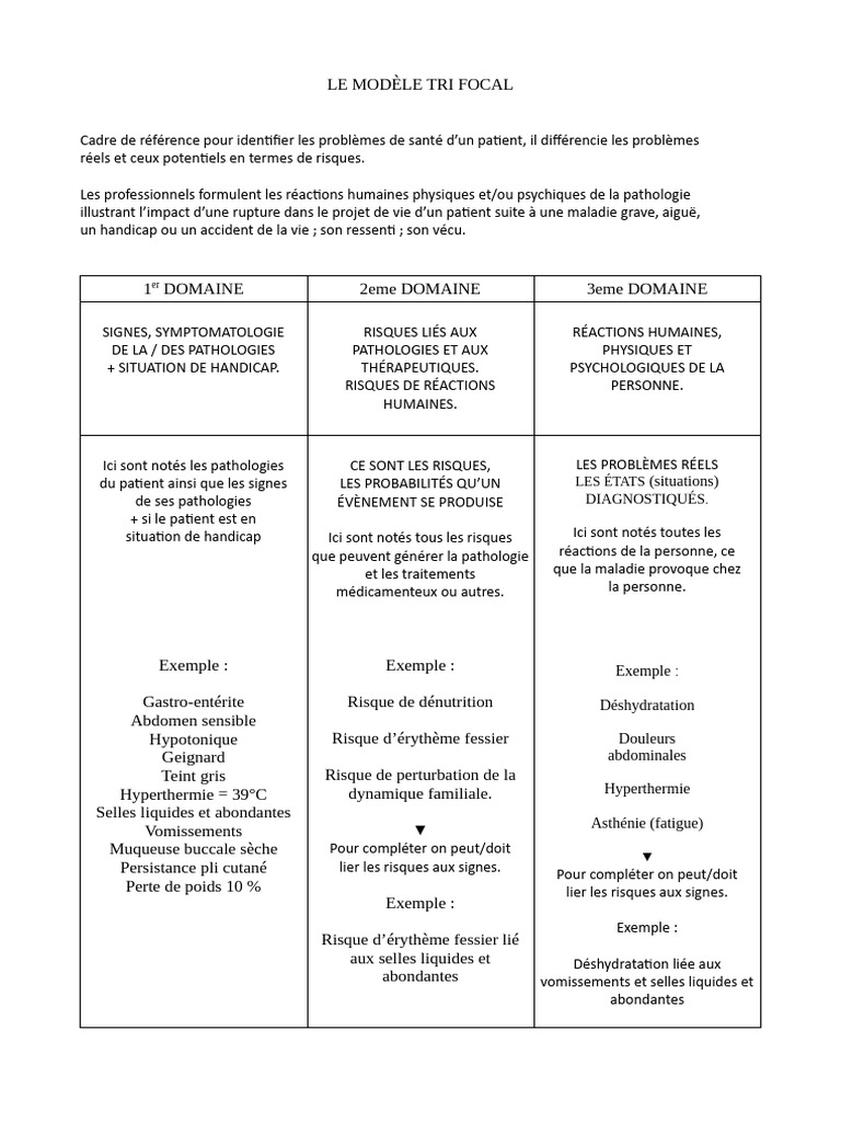 Modèle Trifocal en Soins Infirmiers | PDF | Invalidité | Risque