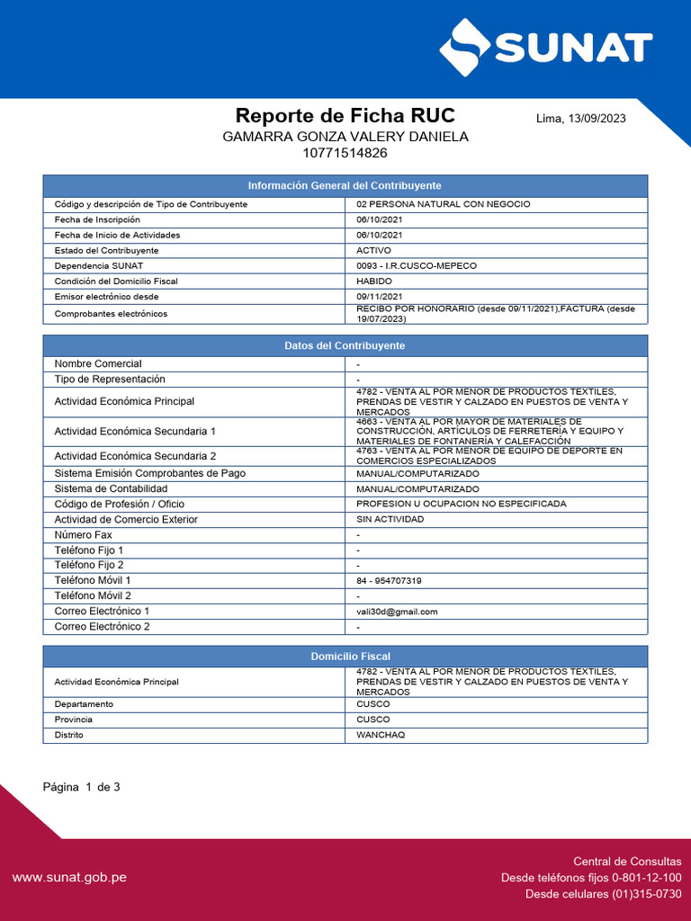 Ficha Ruc - Sunat | PDF | Teléfonos móviles | Al por menor