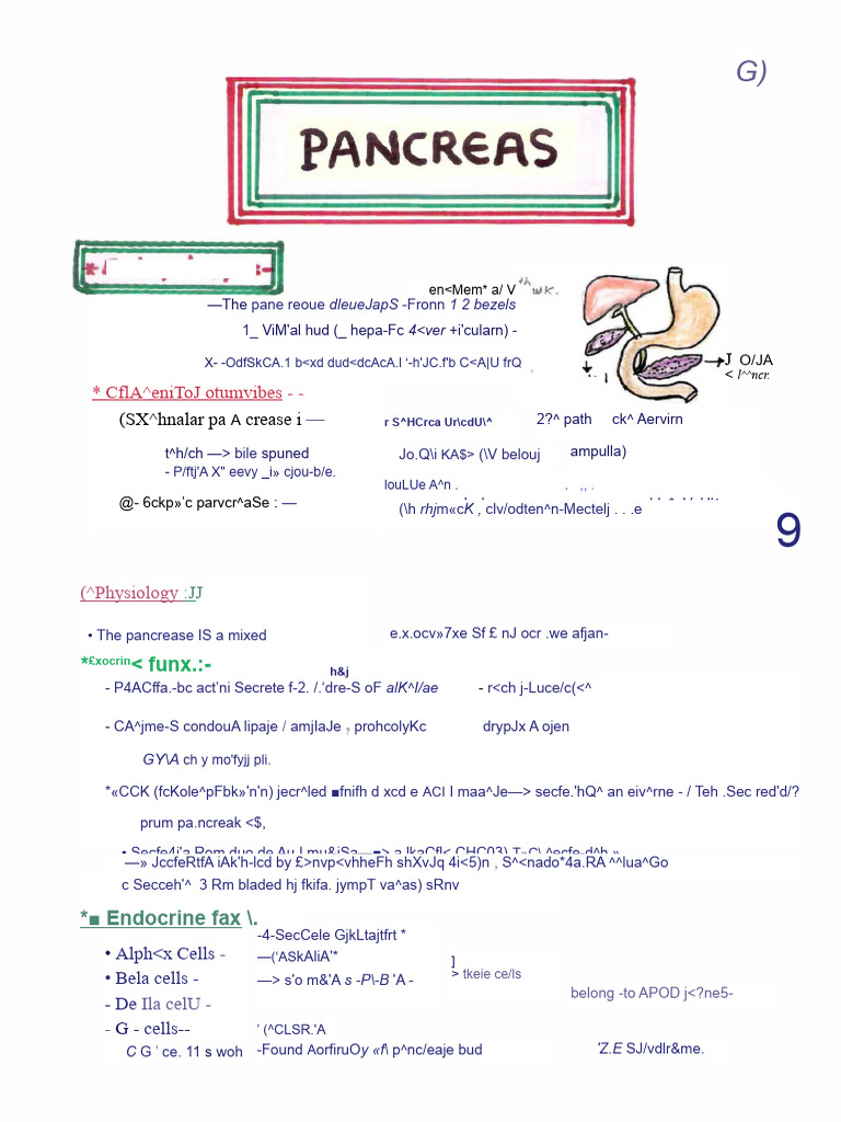 4 - Pancreas | PDF