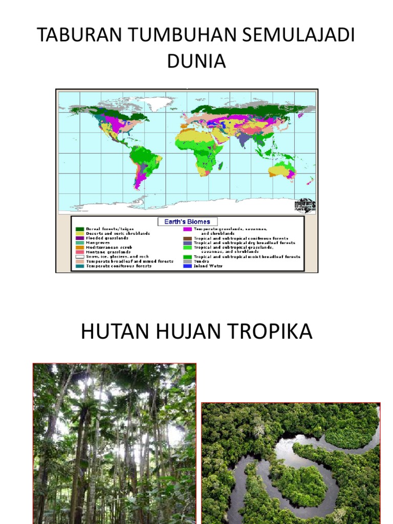 Ciri-Ciri Hutan | PDF