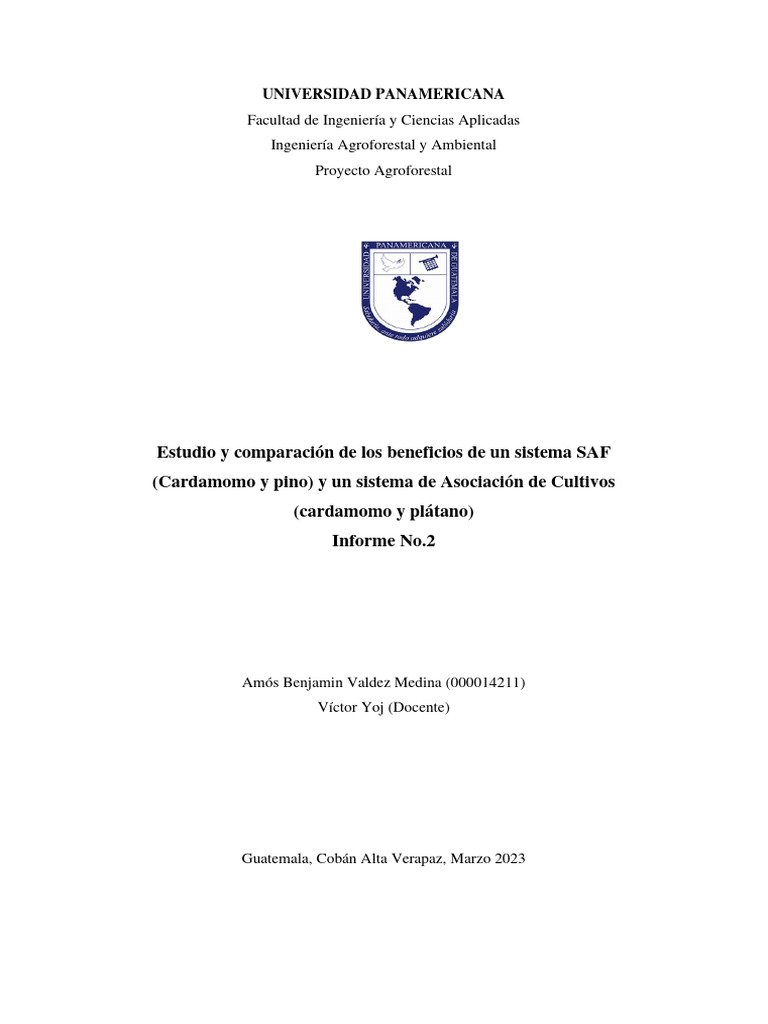 Informe No. 2 Amos Benjamin Valdez Medina 000014211 | PDF