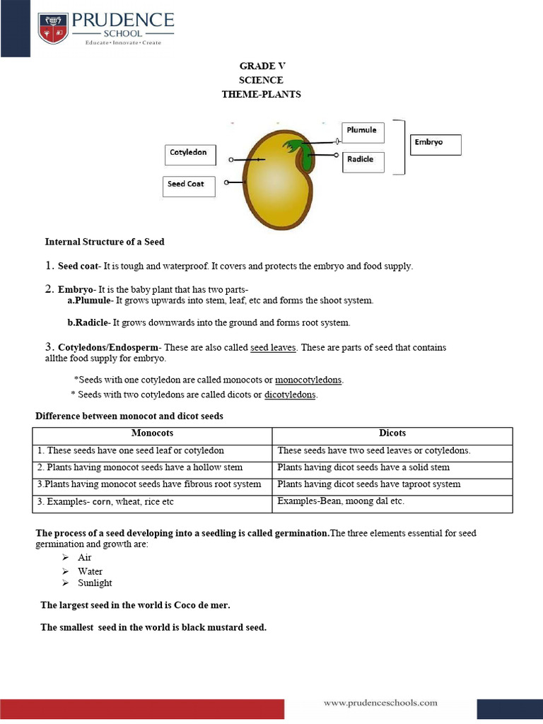 G5 Plant Notes 1 | PDF