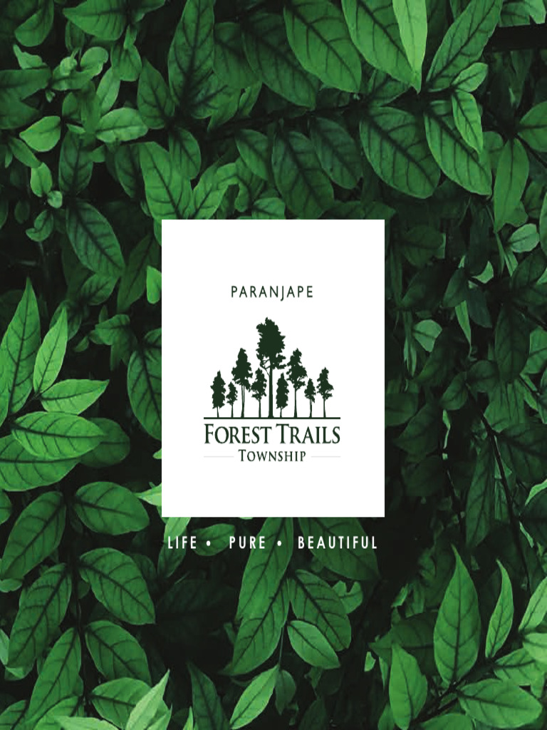 Forest Trail | PDF | Green Building