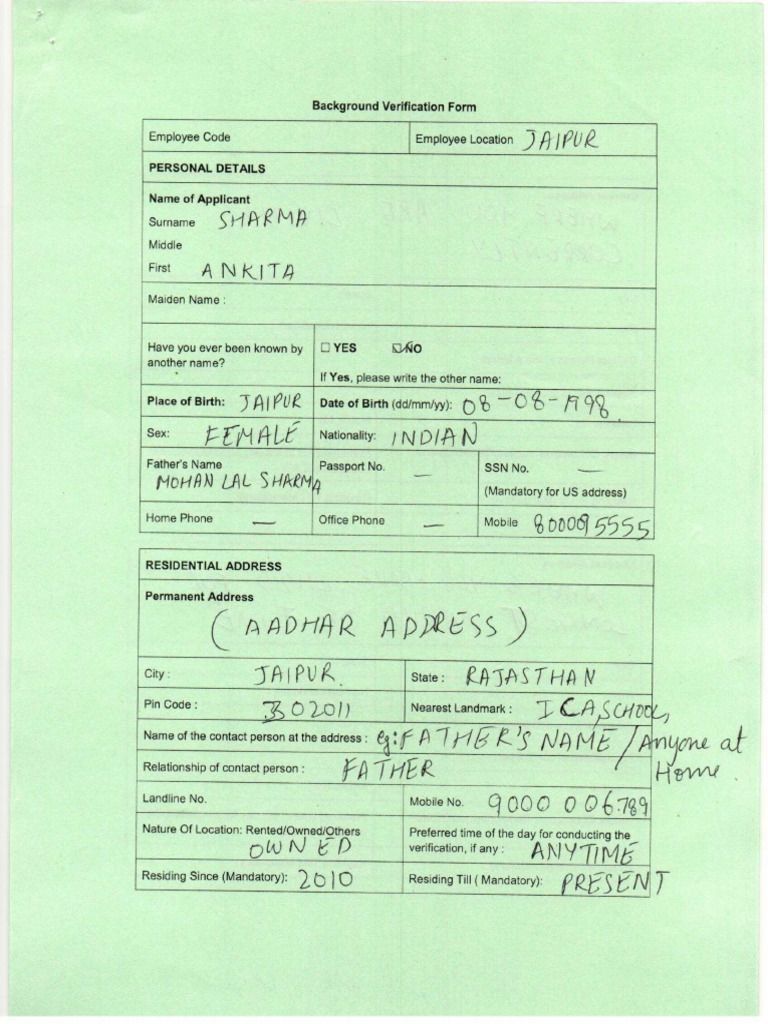 Background Verification Dummy | PDF