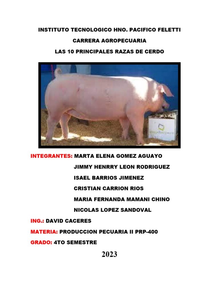 Razas de Cerdo | PDF | Cerdo